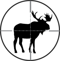 moose - Alaska Hunting Guide